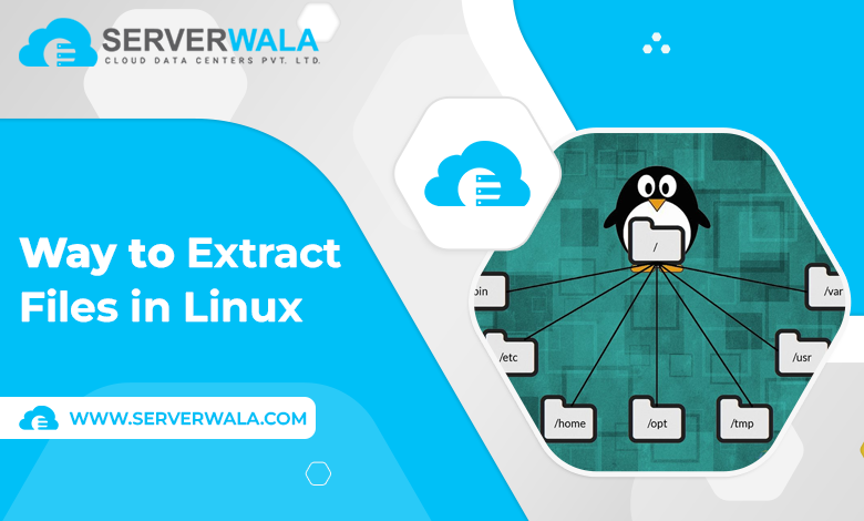 Steps to Unzip / Extract tar.gz Files in Linux Using Command Line
