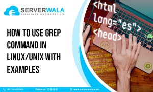 How To Use Grep Command In Linux/UNIX with Examples?