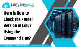 How to Check the Kernel Version in Linux ? - Serverwala