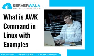 What is AWK Command in Linux with Examples?
