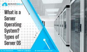 What is a Server Operating System? Types of Server OS