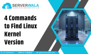 How to Check the Kernel Version in Linux ? - Serverwala
