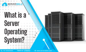 What is a Server Operating System? Types of Server OS