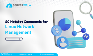 20 Netstat Commands for Linux Network Management | Serverwala