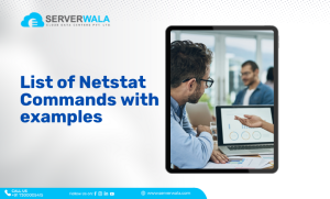 20 Netstat Commands for Linux Network Management | Serverwala