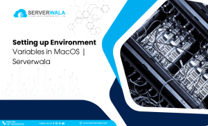 Setting up Environment Variables in MacOS - Serverwala