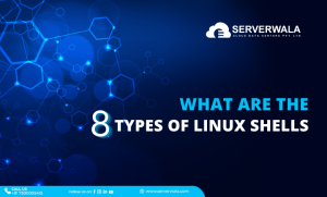 What are the 8 Types of Linux Shells?