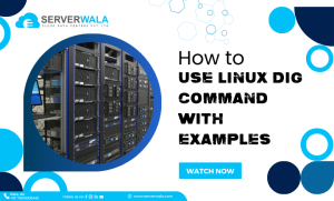 How to Use Linux Dig Command with Examples?