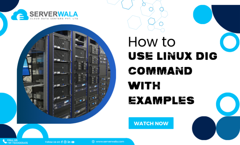 How to Use Linux Dig Command with Examples?