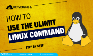 How to Use the ulimit Linux Command? - Serverwala
