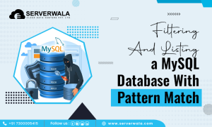 How To Show a List of All Databases in MySQL?
