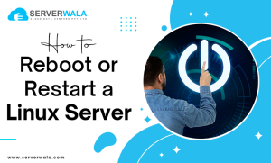How to Reboot or Restart a Linux Server? - Serverwala