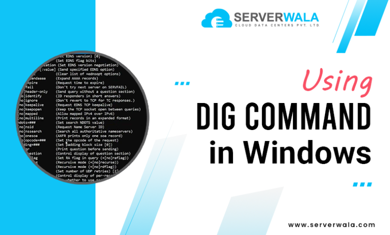 How to Install Dig on Windows? - Serverwala