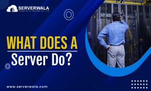 Complete Guide for Servers: Types Applications Network Architecture