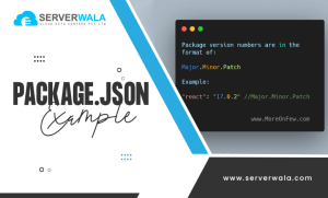 package.json Quick Start Guide - Serverwala